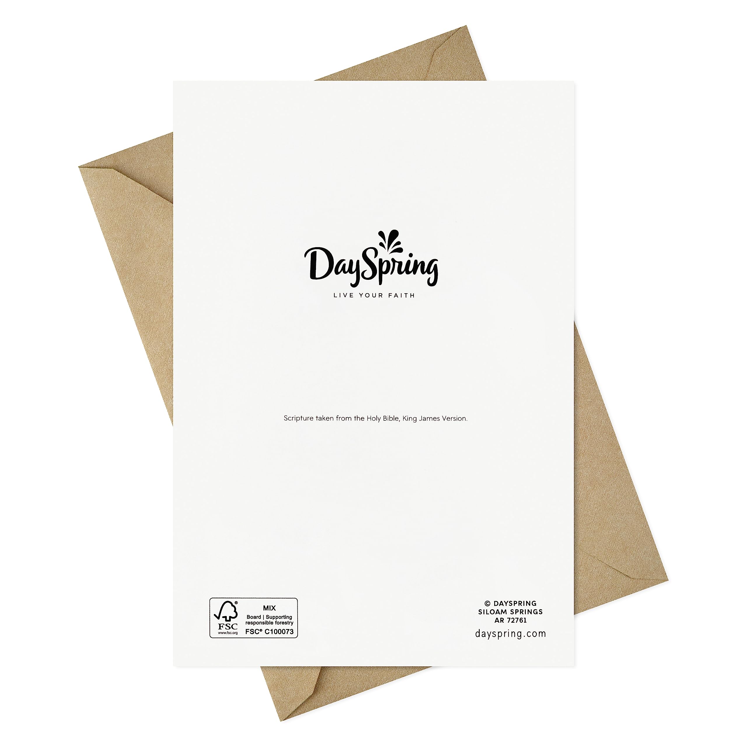 Snapklik.com : DaySpring Religious Thanksgiving Cards Assortment (16 ...