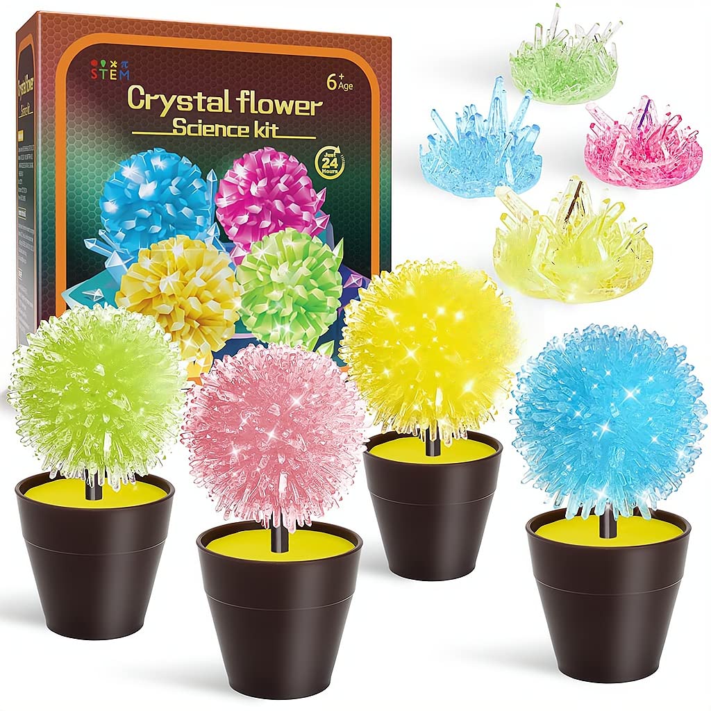Buy Crystal Growing Kit for Kids, Science Kits for Kids Ages 8-12, 4pcs ...