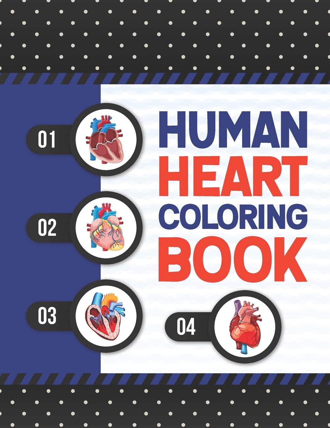 Buy Human Heart Coloring Book: The Human Heart Coloring Book Human ...