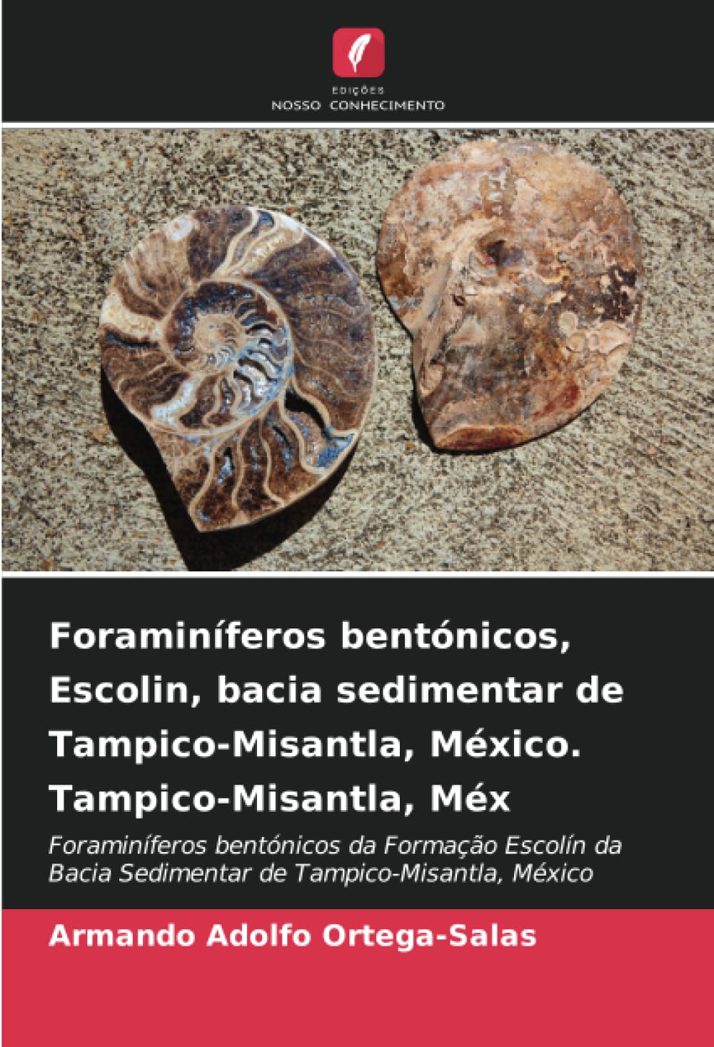 Foraminiferos Bentonicos Escolin Bacia Sedimentar De Tampico Misantla ...