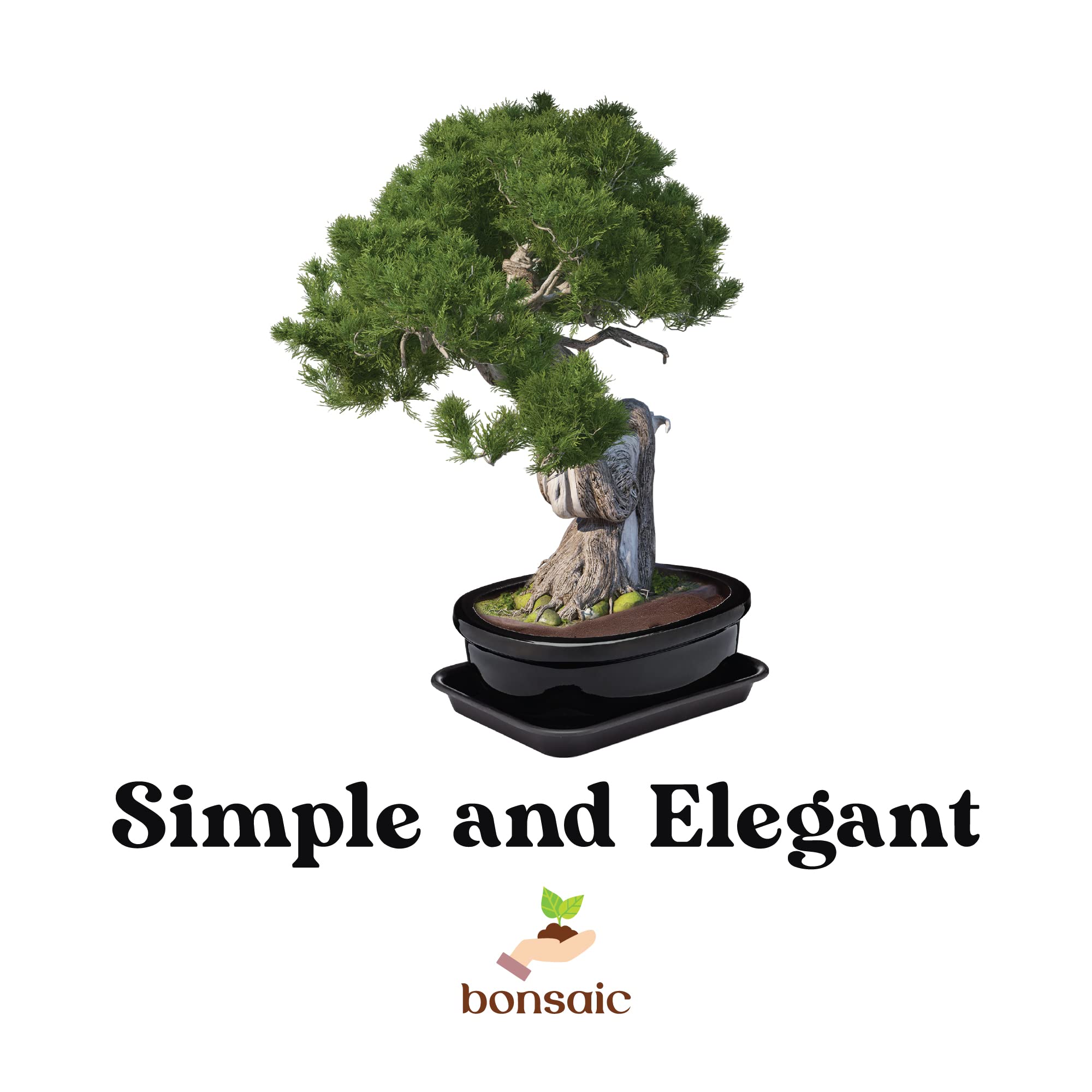 Buy Bonsiac Japanese Style Wide Mini Bonsai Bowl Planters with Seeping ...