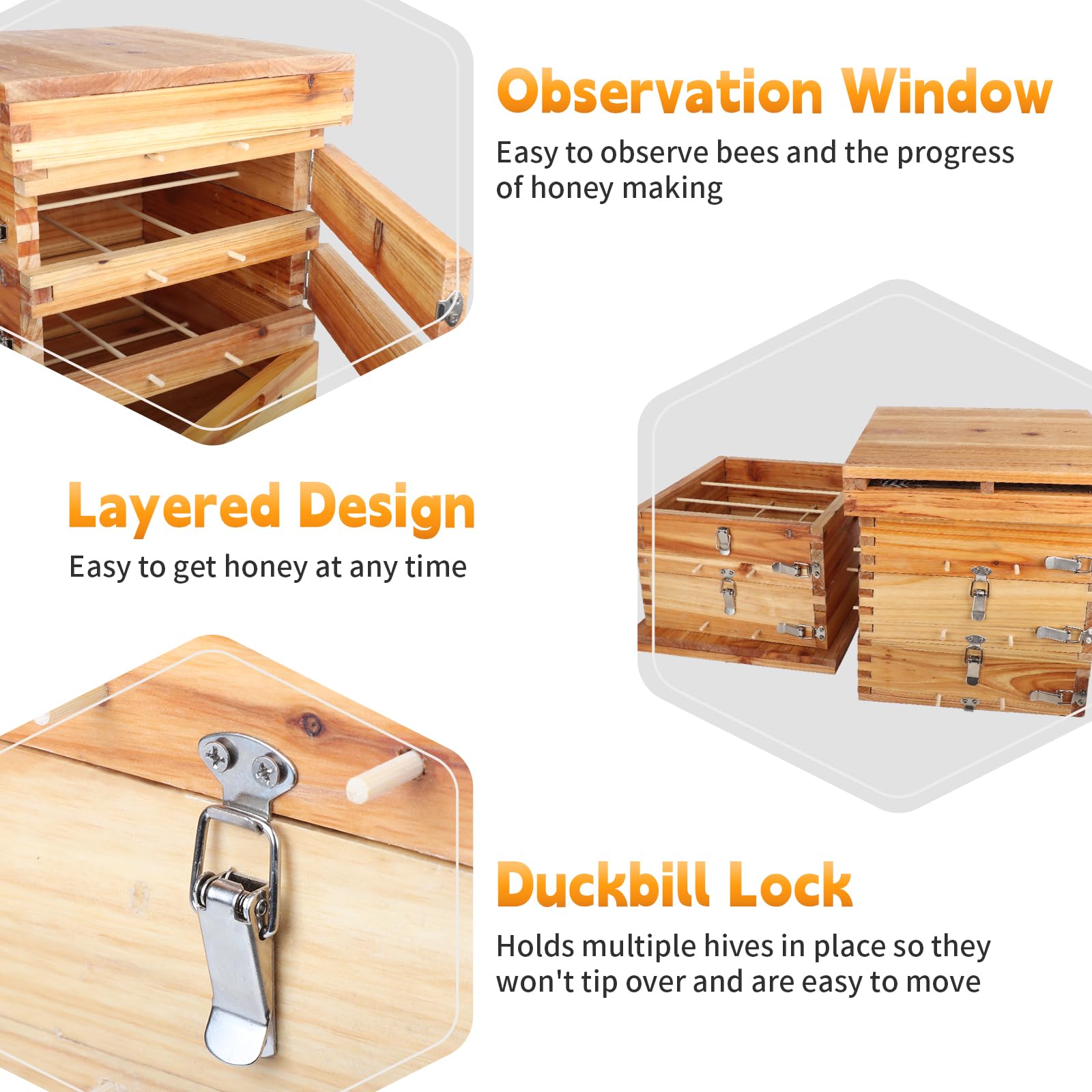 Snapklik.com : Snowtaros Upgrade No Frames Bee Hive Box, 5 Layer Bee ...