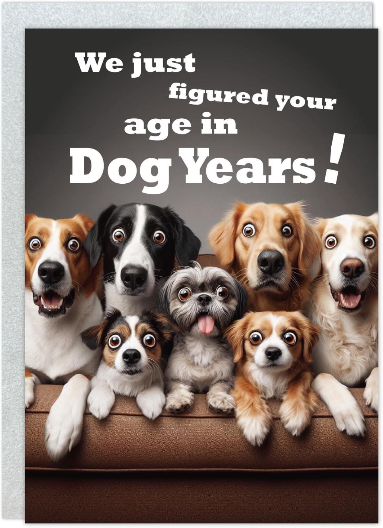Gooji Dogs Birthday Card 1pc (Age) : Amazon.ca: Office Products