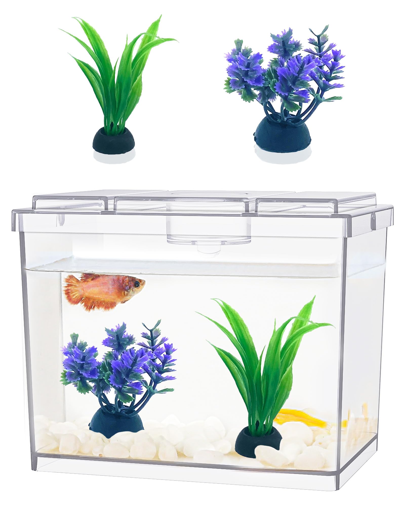 Snapklik.com : MoonOrange Mini Betta Fish Tank, Small Fish Bowl For ...