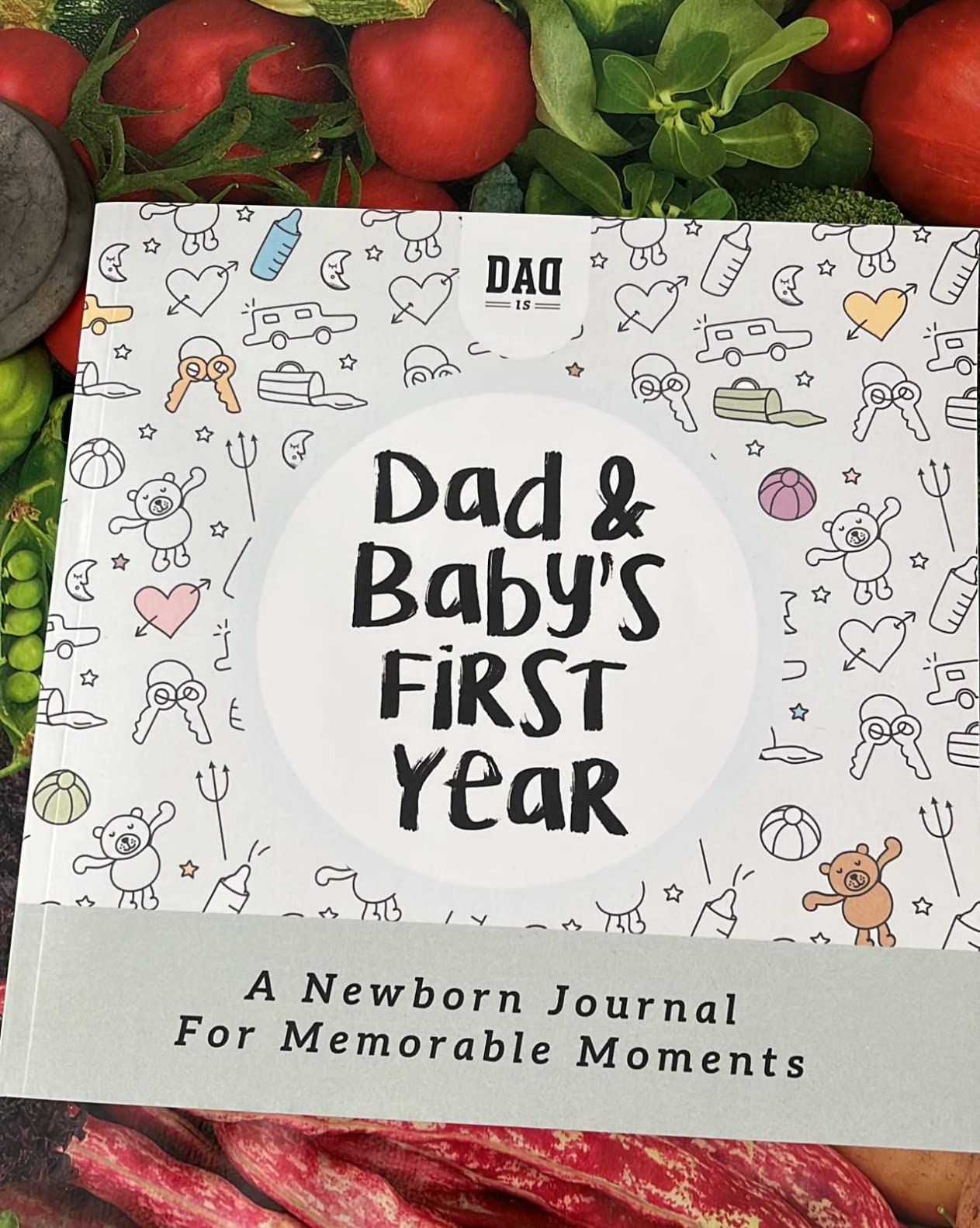 $3/mo - Finance Dad and Baby's First Year: A Newborn Journal for ...