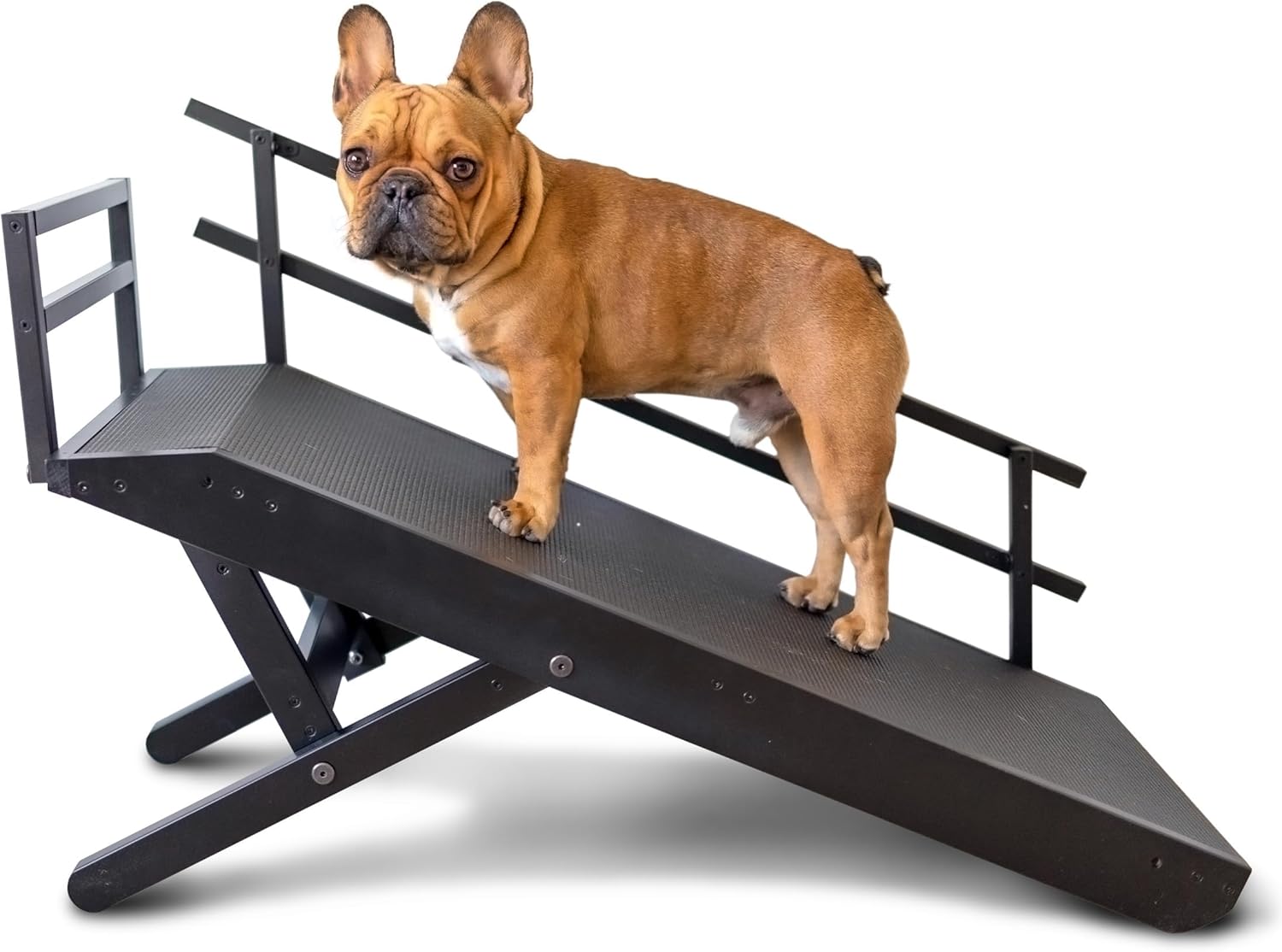 Amazon.com : DoggoRamps Dog Ramp for Couch with Safety Rails ...
