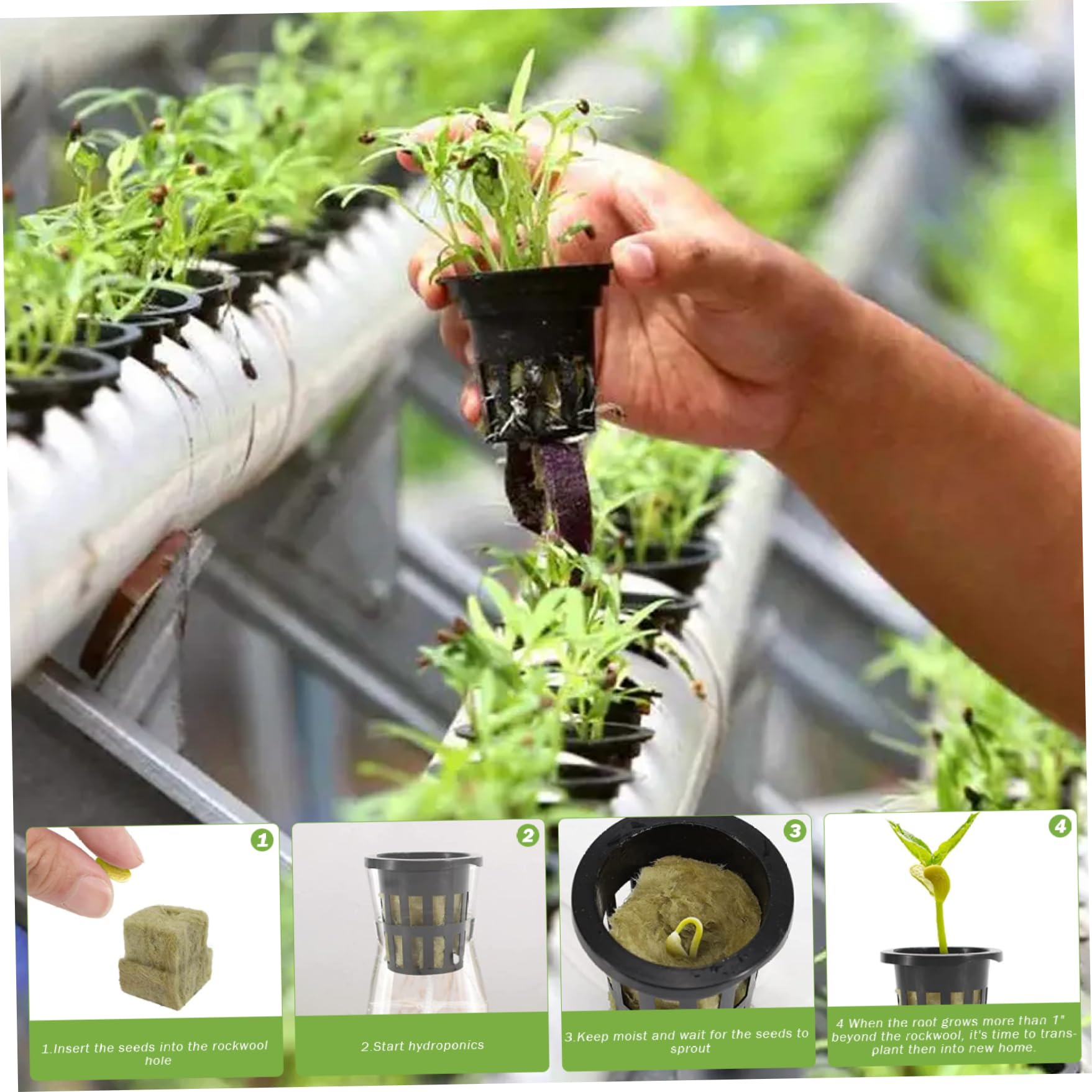 Rockwool Hydroponics Drip