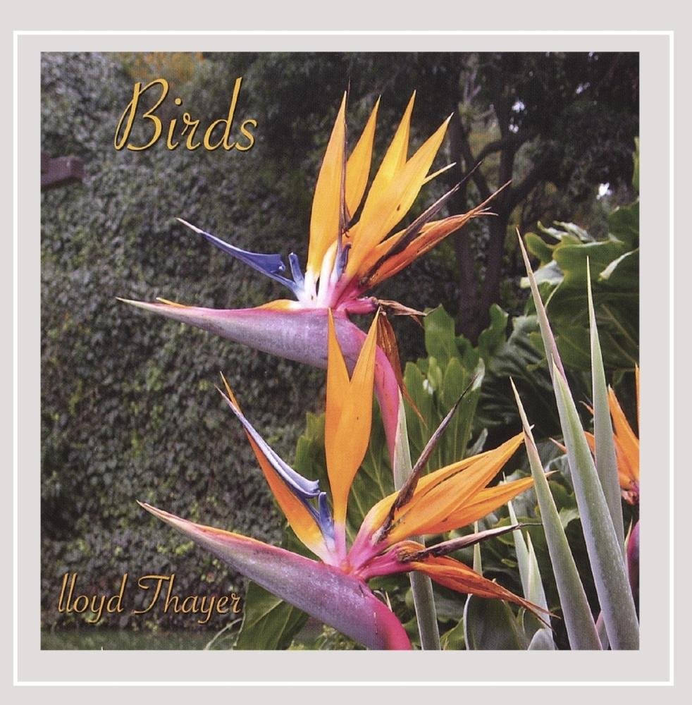 Amazon.com: Birds: CDs & Vinyl