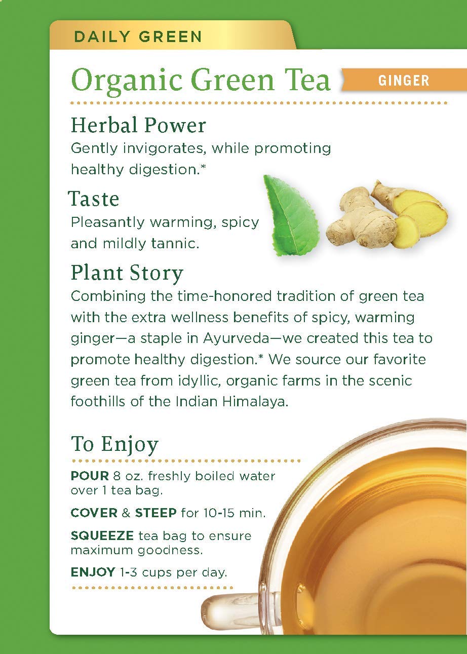 Ginger Tea Health Benefits