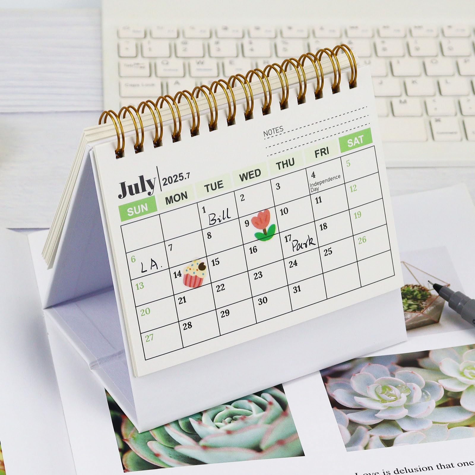 Snapklik.com : Desk Calendar 2024-2025, 5.2" X 5.3", Runs From July ...