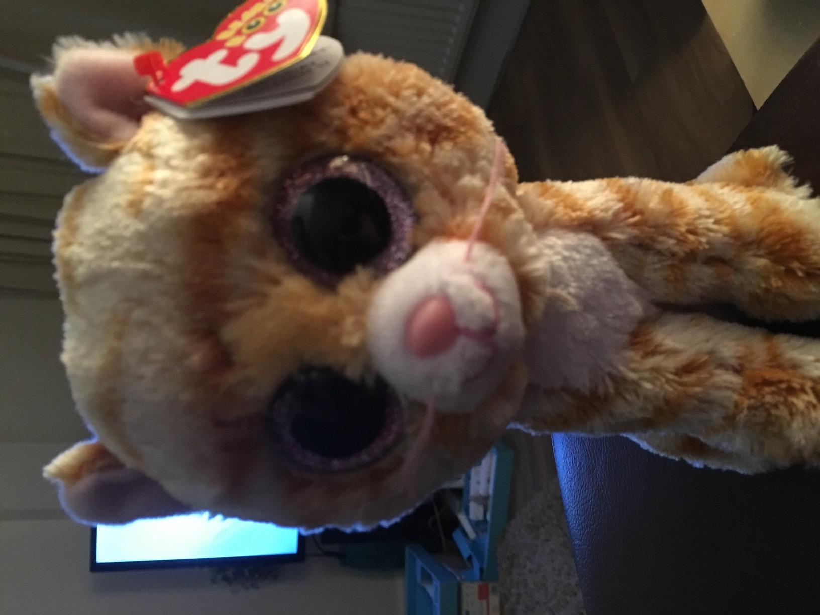 Ty Beanie Boos - Tabitha the Cat : Amazon.co.uk: Outlet