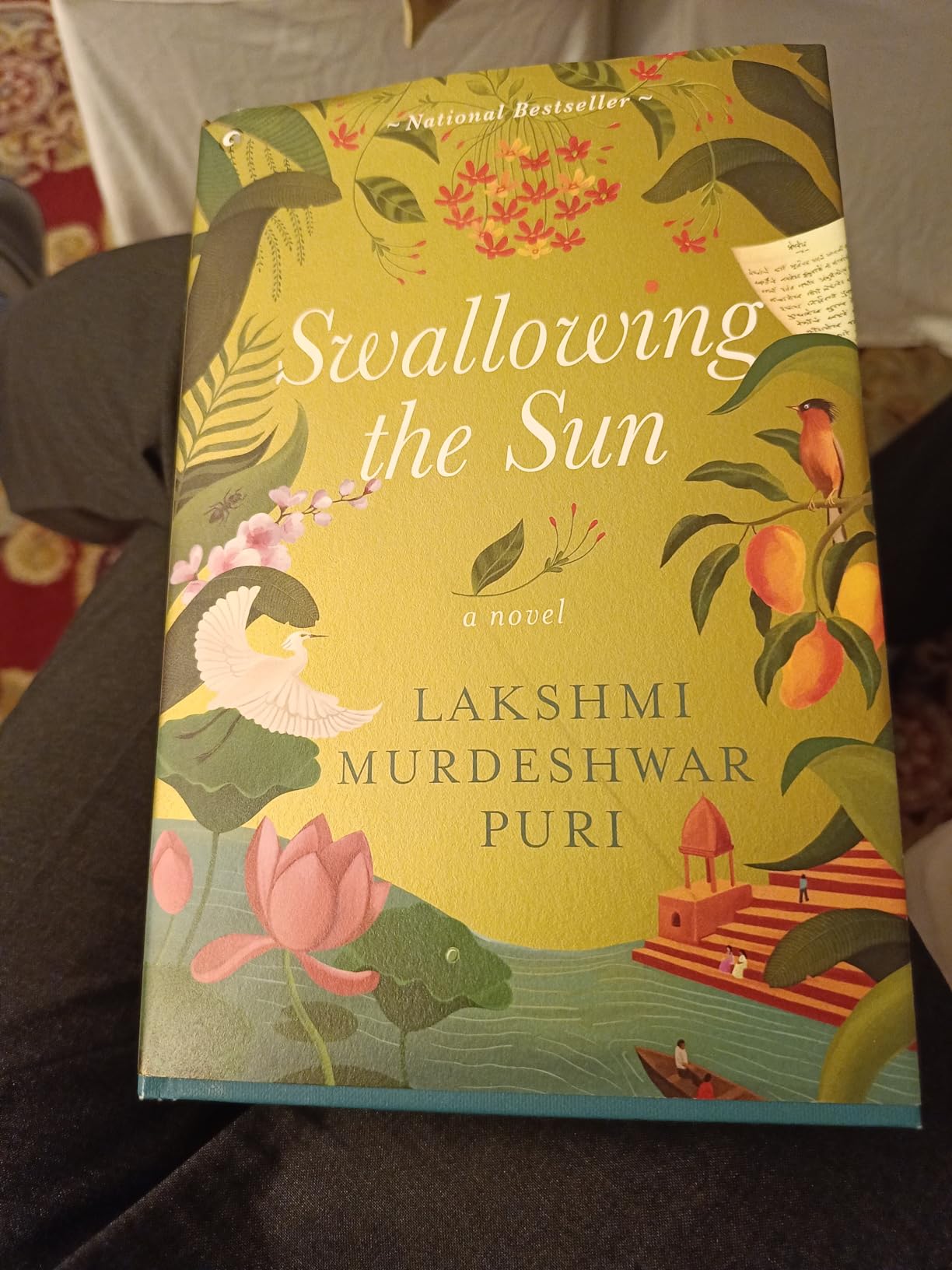 Buy Swallowing the Sun: A Novel [National Bestseller] Book Online at ...