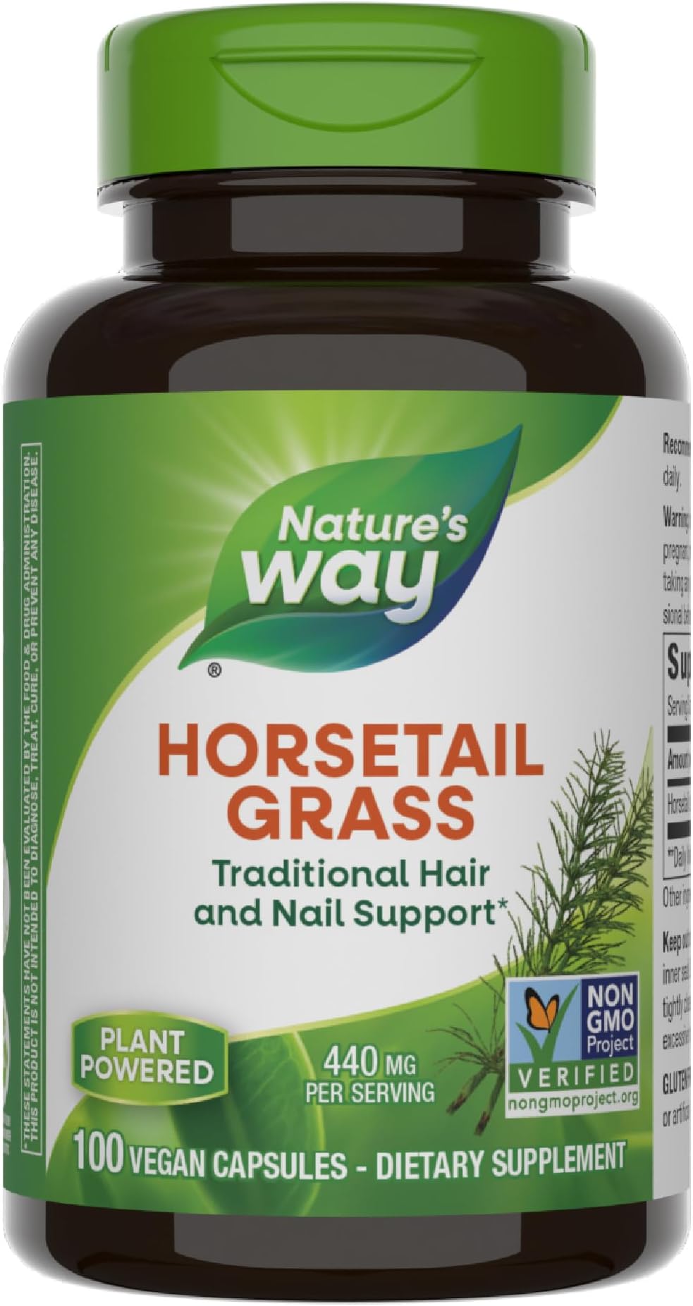 Amazon.com: PURE ORIGINAL INGREDIENTS Horsetail (365 Capsules) No ...