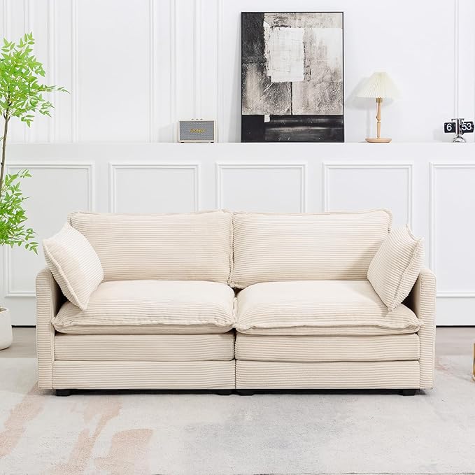 Amazon.com: ROWHY Sectional 2 Seat Cloud Loveseat with 2 Throw Pillows ...