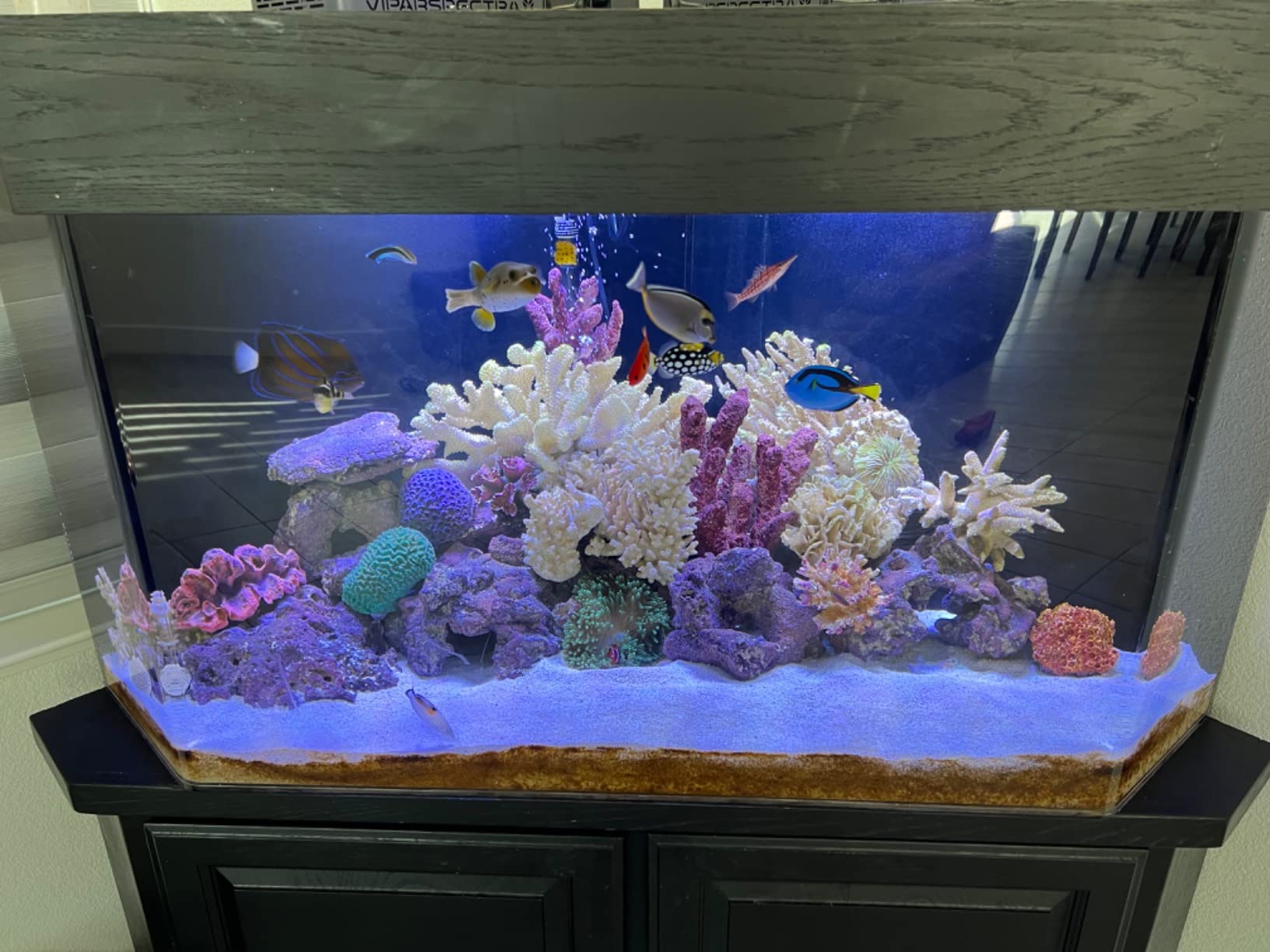 $46/mo - Finance Innovative Marine Mighty Jet DC Return Sump Pump (XL ...