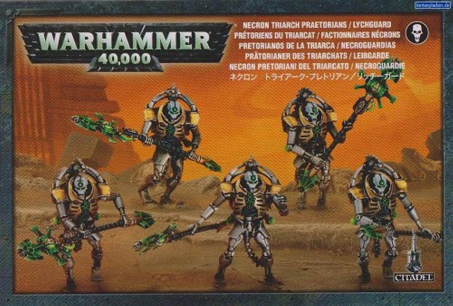 Amazon.com: Games Workshop 99120110012 "Necron Lychguard/triarch ...