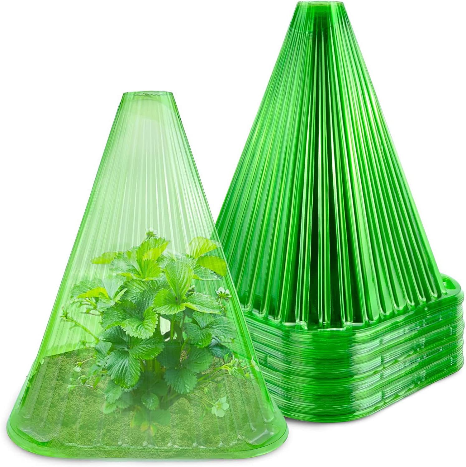Amazon.com : Ifan 30 Pack Reusable Garden Cloches for Plants, Plastic ...