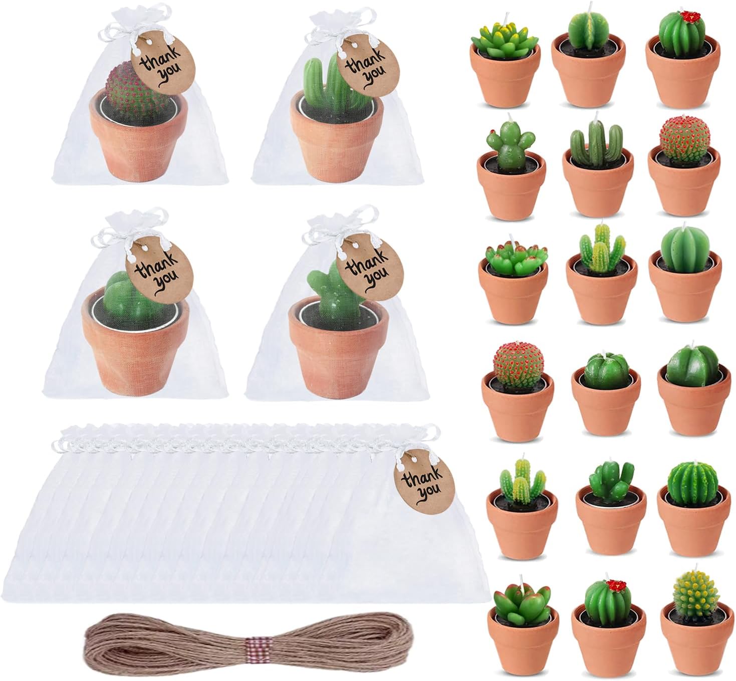 Amazon.com: 18pcs Cactus Party Decorations,Boho Party Favors Succulent ...