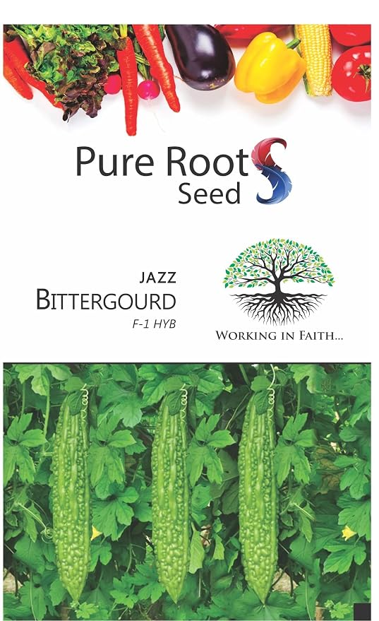 Pure Root Seed Jazz Bittergourd (F-1 HYB) Long Bitter Gourd Karela ...
