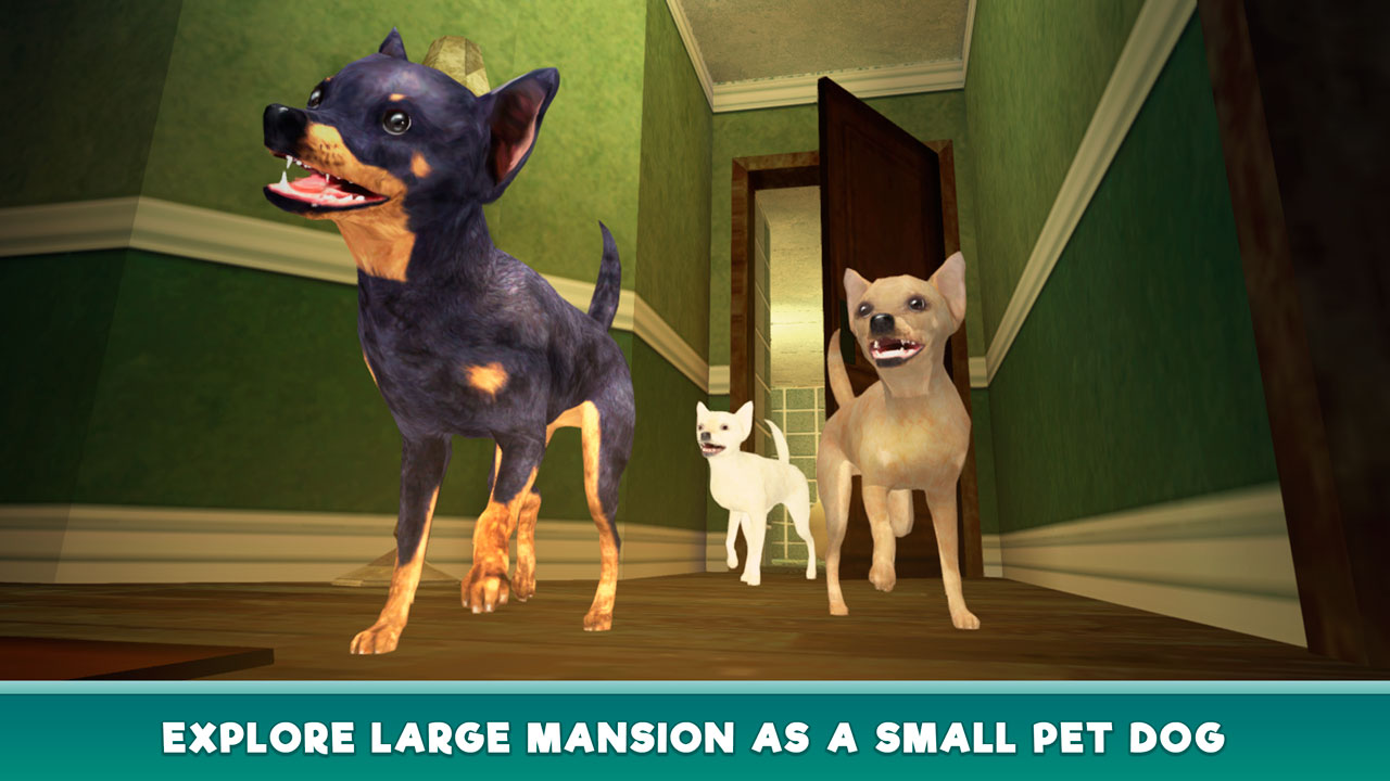 Chihuahua Virtual House Pet Puppy Game: My Cute Dog Sim:Amazon.com ...
