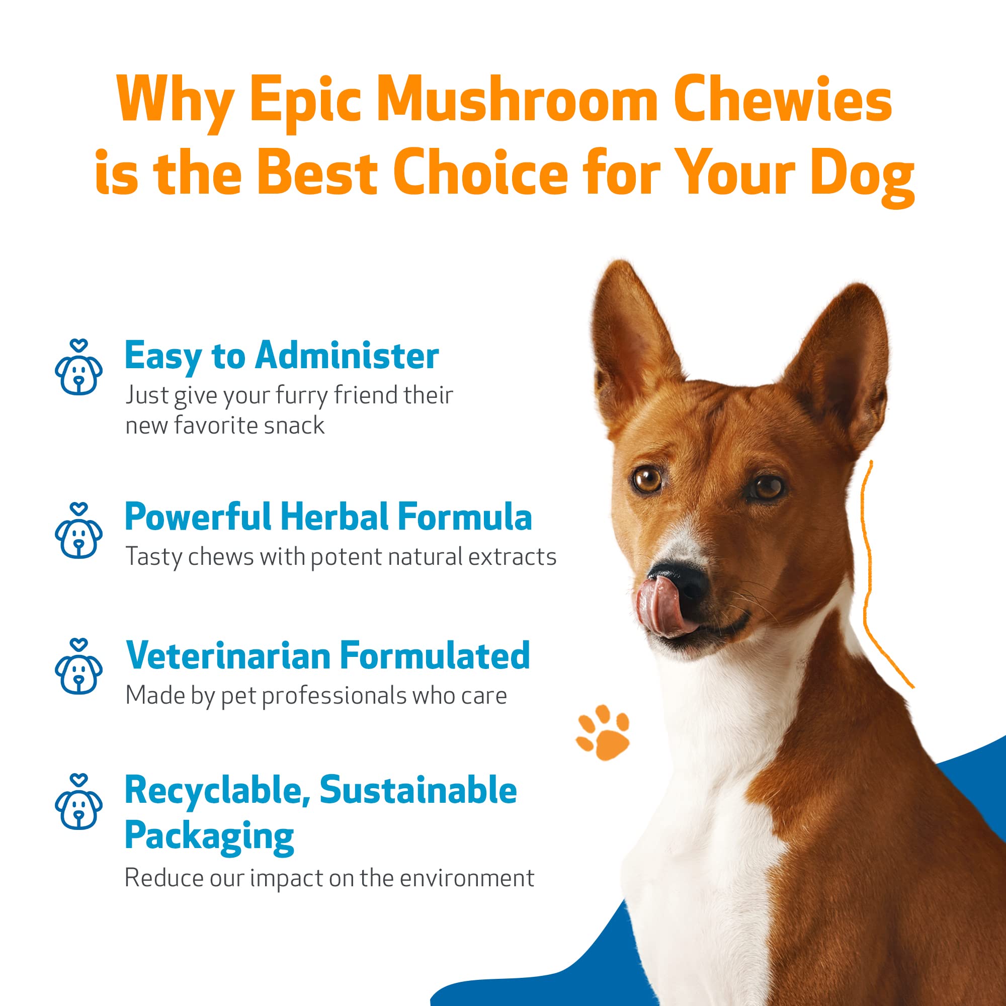 Naturvet Wheat Free Mushroom Max With Turkey Tail Advanced