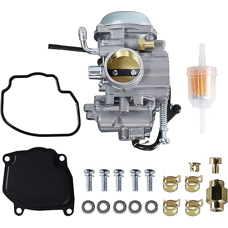 Amazon.com: Youxmoto 1614-11 Carburetor, Replace 3131463 3131571 ...