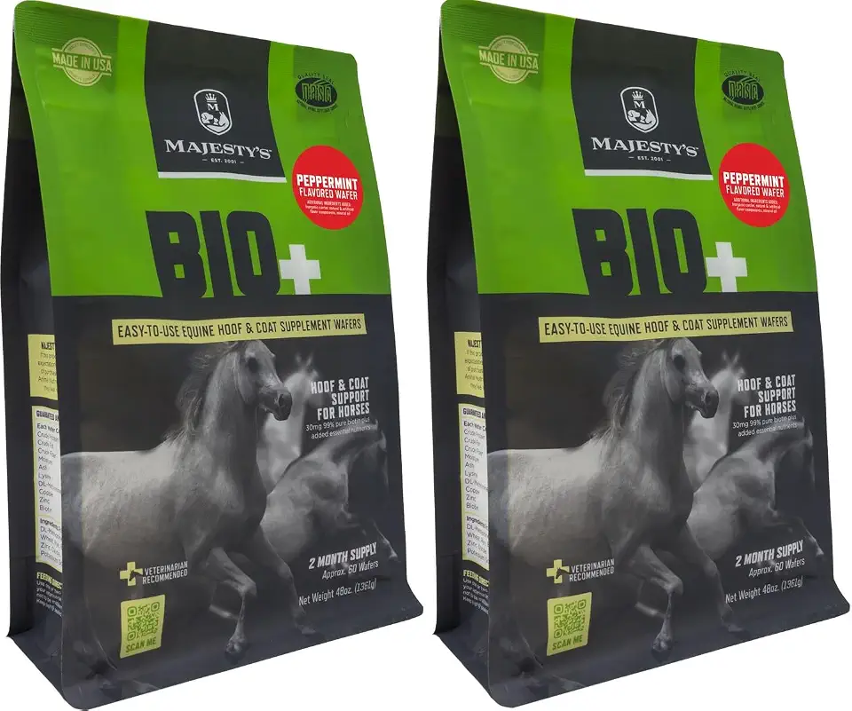 Exploring The Benefits And Risks Of Horses Eating Mints | PetShun