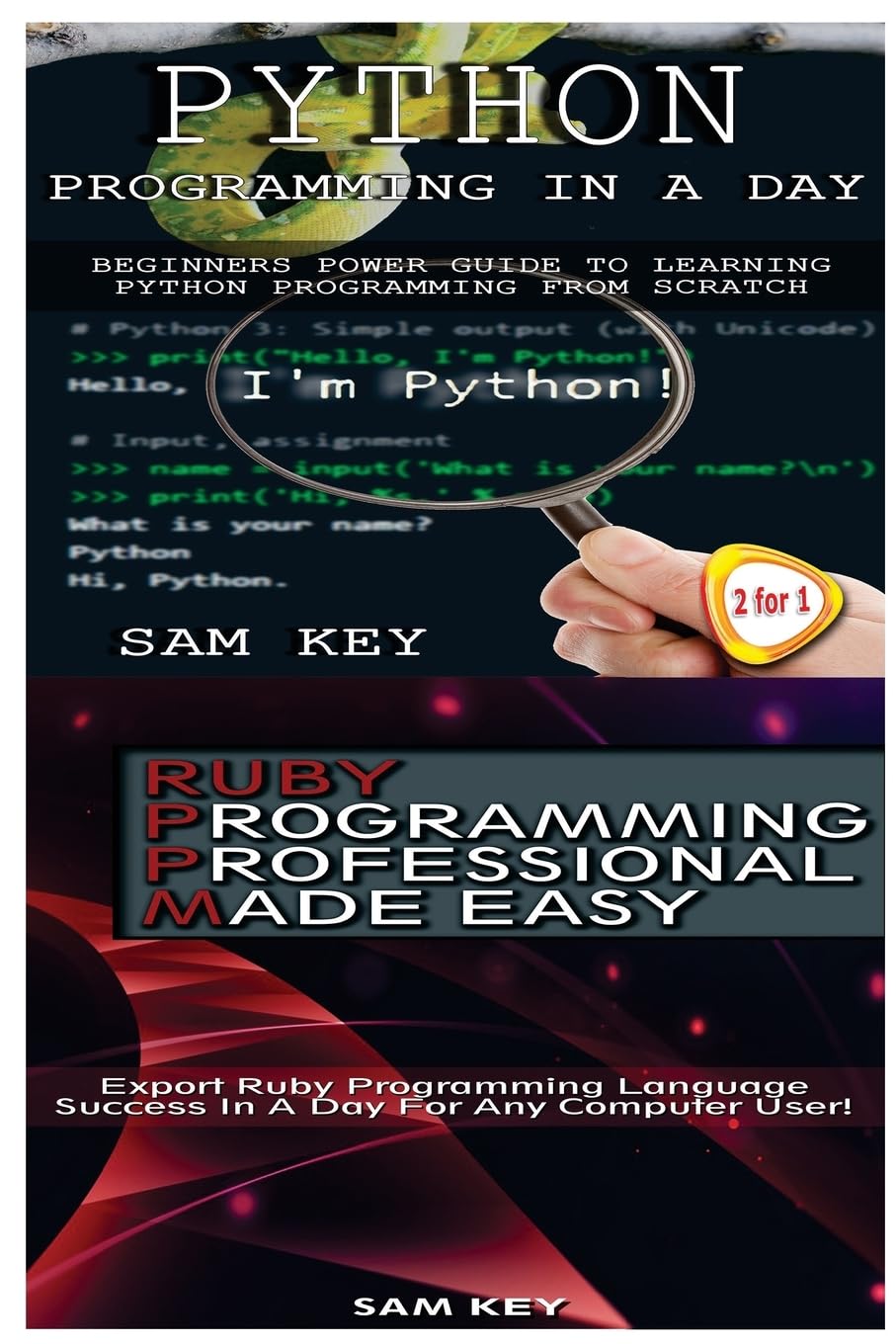 Python Programming In A Day & Ruby Programming Professional Made Easy ...