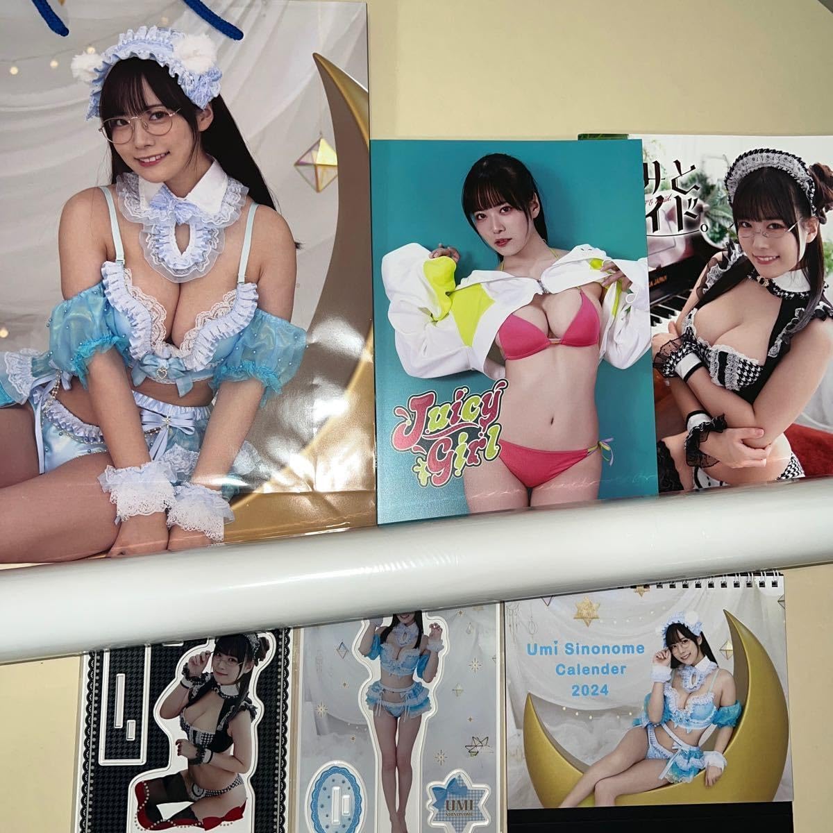 Amazon.co.jp: C103 コミケ103 うみの家 東雲うみ 新刊フルセット 別売アクスタ付 写真集 ROM : おもちゃ