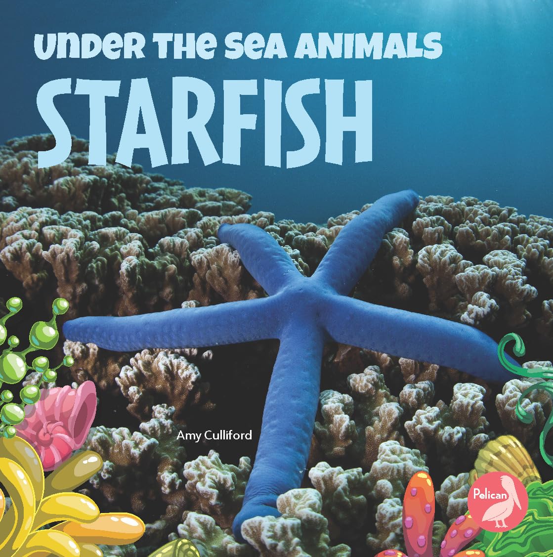 Starfish (Under the Sea Animals) : Culliford, Amy: Amazon.in: Books