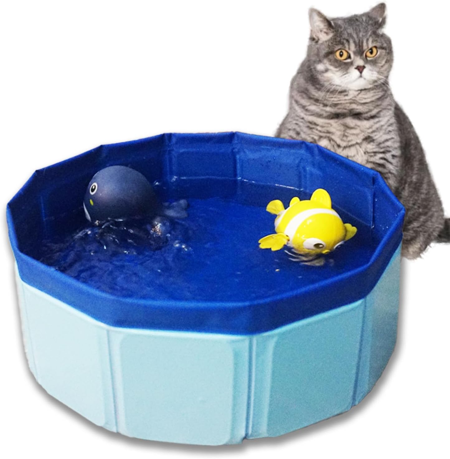 Amazon.com: Yopetox Cat Pool Toy, Water Toys for Cats, Best Cat Toys ...