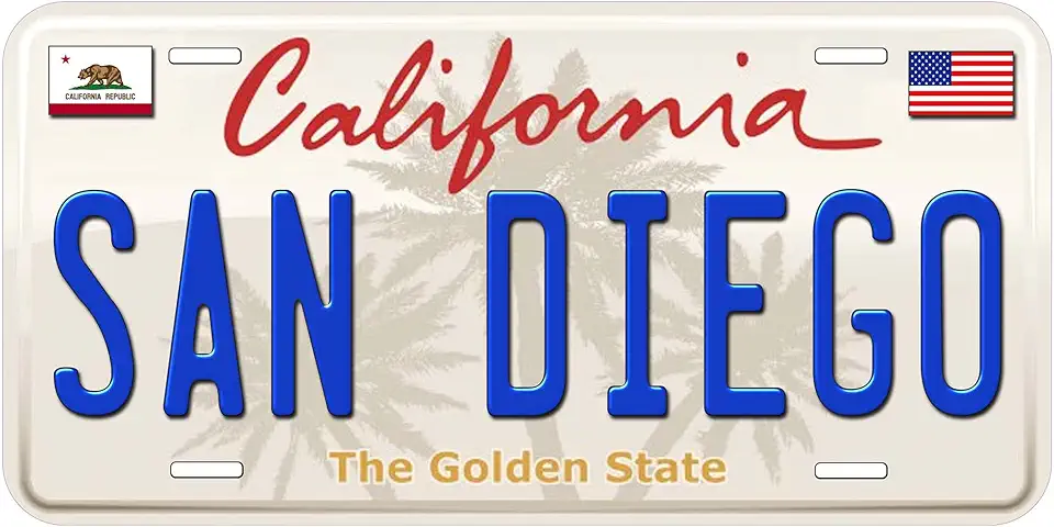 Paying For Mts Bus In San Diego: A Quick Guide | ShunAuto