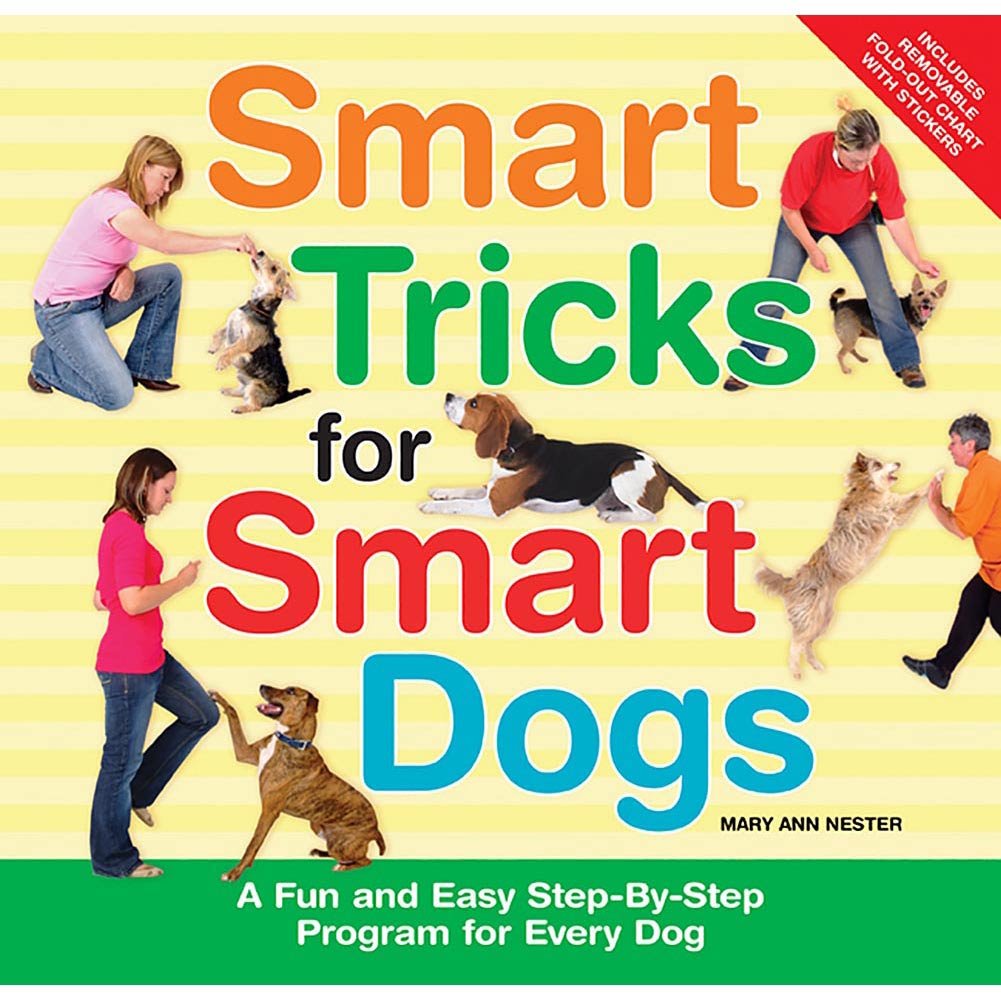 How Smart Is The Average Dog