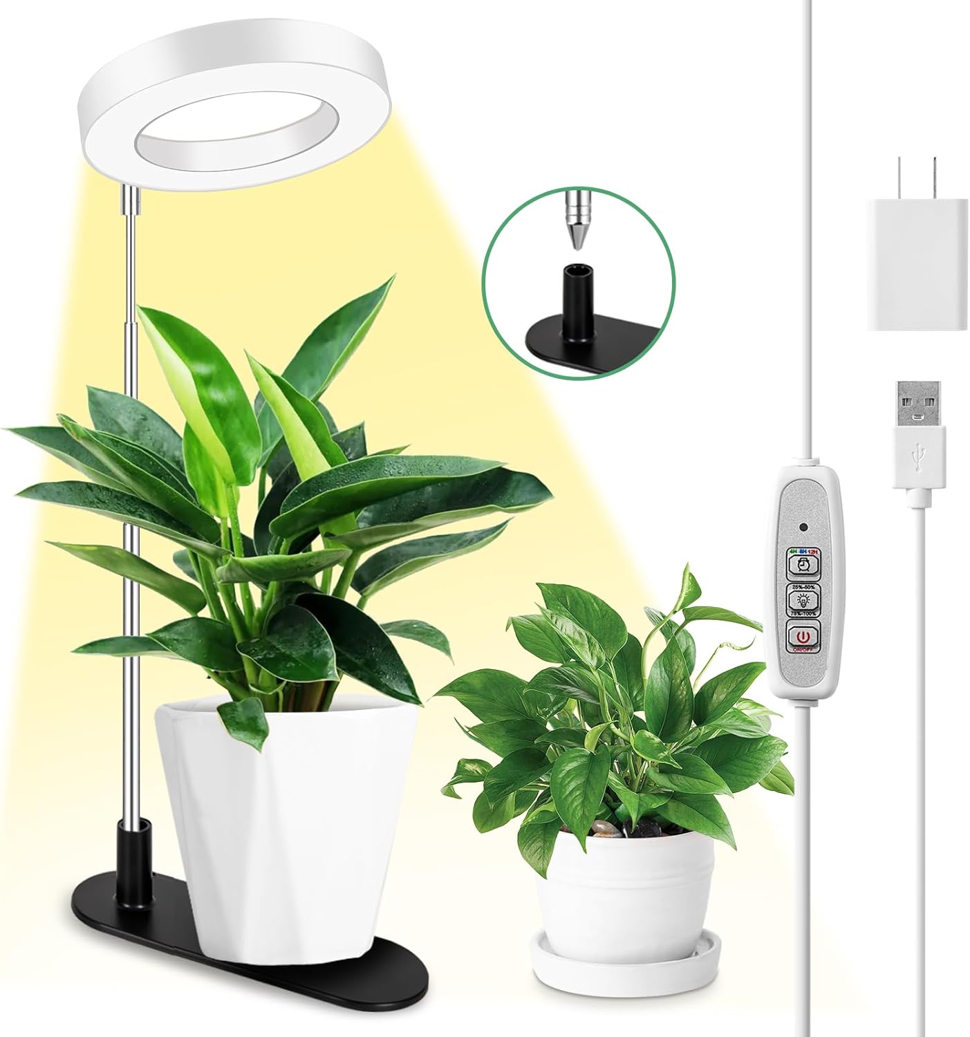 Amazon.com : LORDEM Plant Grow Light, Full Spectrum Halo Desk Light ...