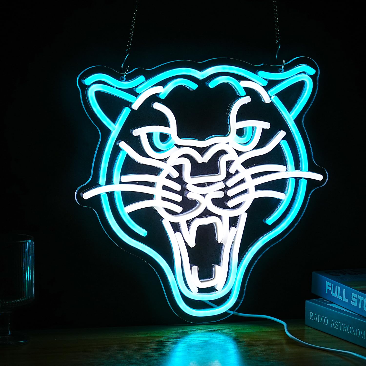 Neon Animal Print Decorations