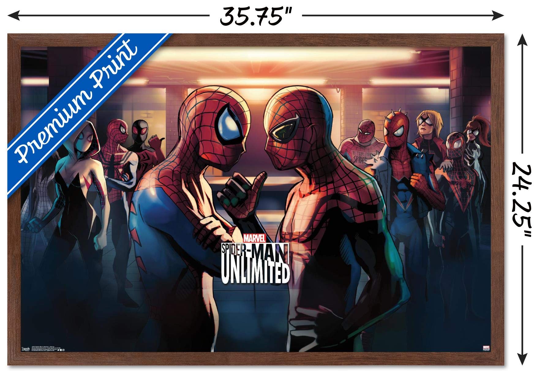 Subway Poster Frame