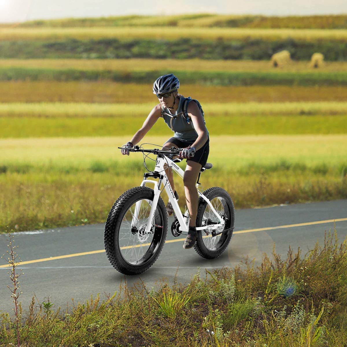 PanAme 21 Speed Fat Tire Adult Mountain Bike, 26-inch Wheel Bicycle, 4 ...