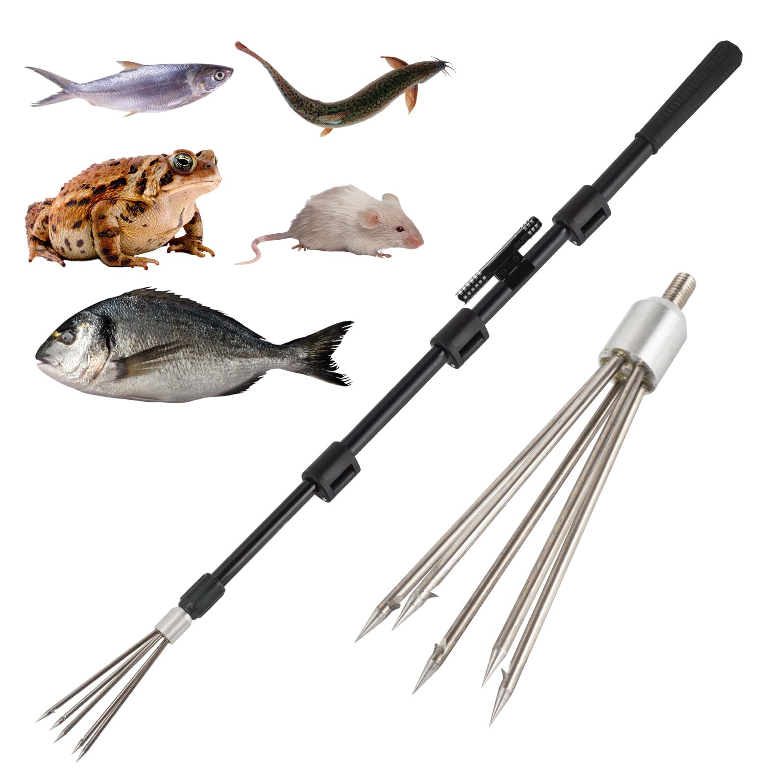 Amazon.com : Fishing Harpoon Spear Gig Gaff Fork Hook for Frog Cane Toad Bullfrogs Bufo Flounder ...