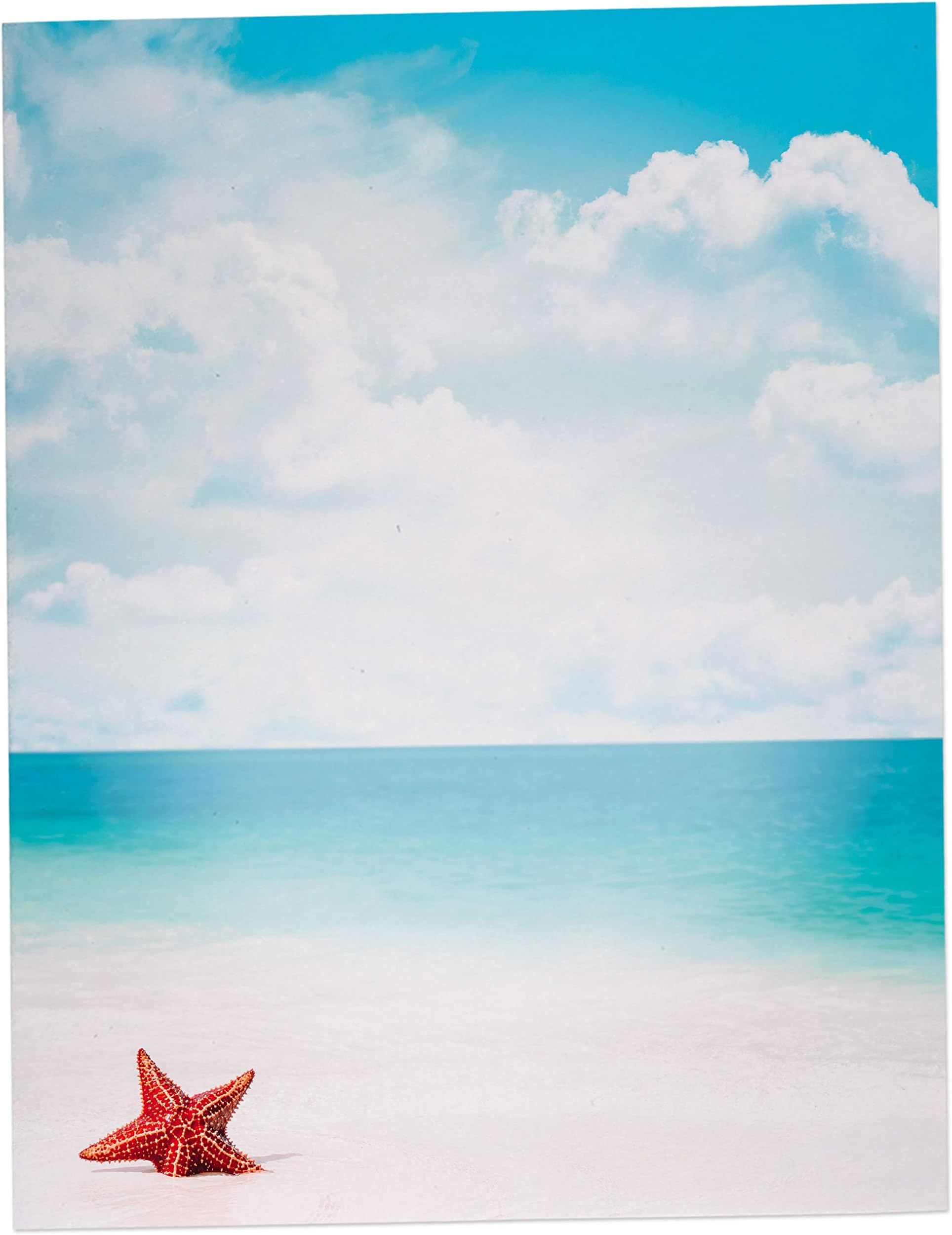 Amazon.com : Sea Shells & Ocean Beach Stationery - 8.5 x 11-60 Beach ...