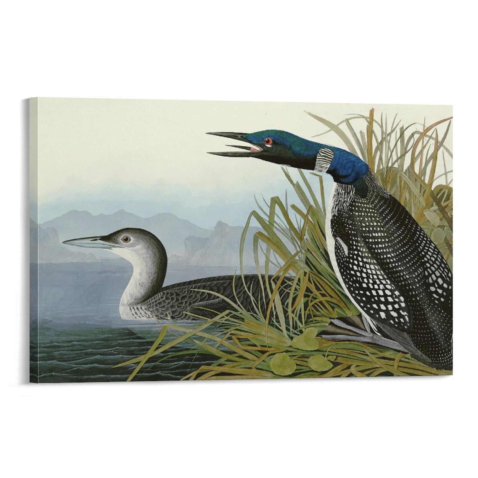 Loon Painting