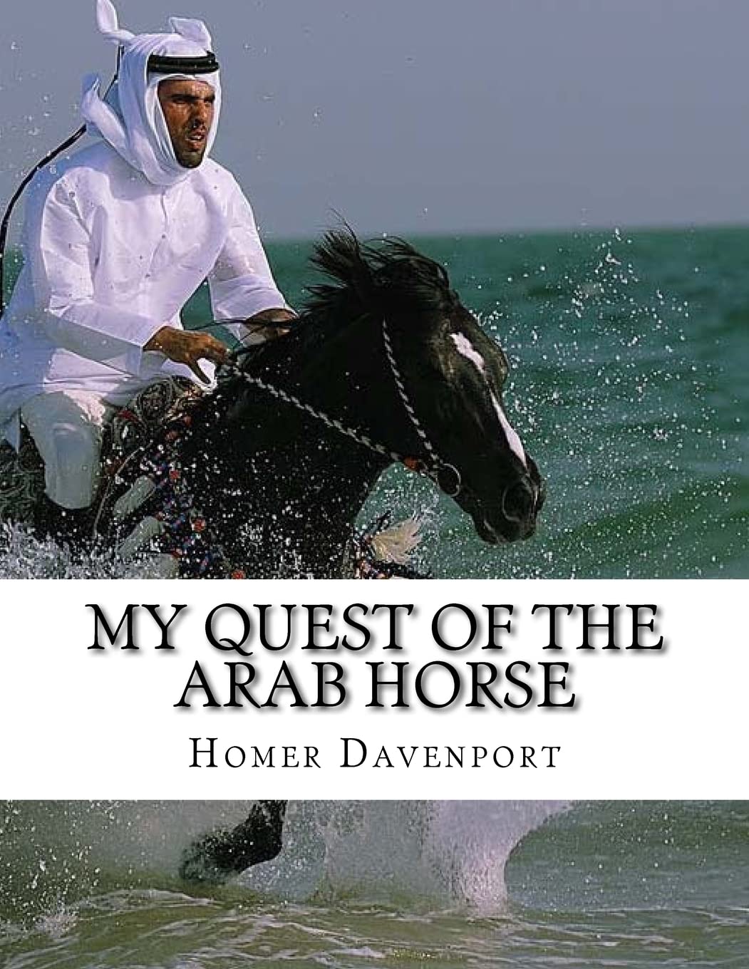 My Quest of the Arab Horse: An American Breeder's Search For the ...