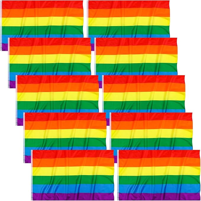 Amazon.com : Fanfanwin 10 Pcs 3 x 5 ft Pride Flags Gay Flags Pride ...