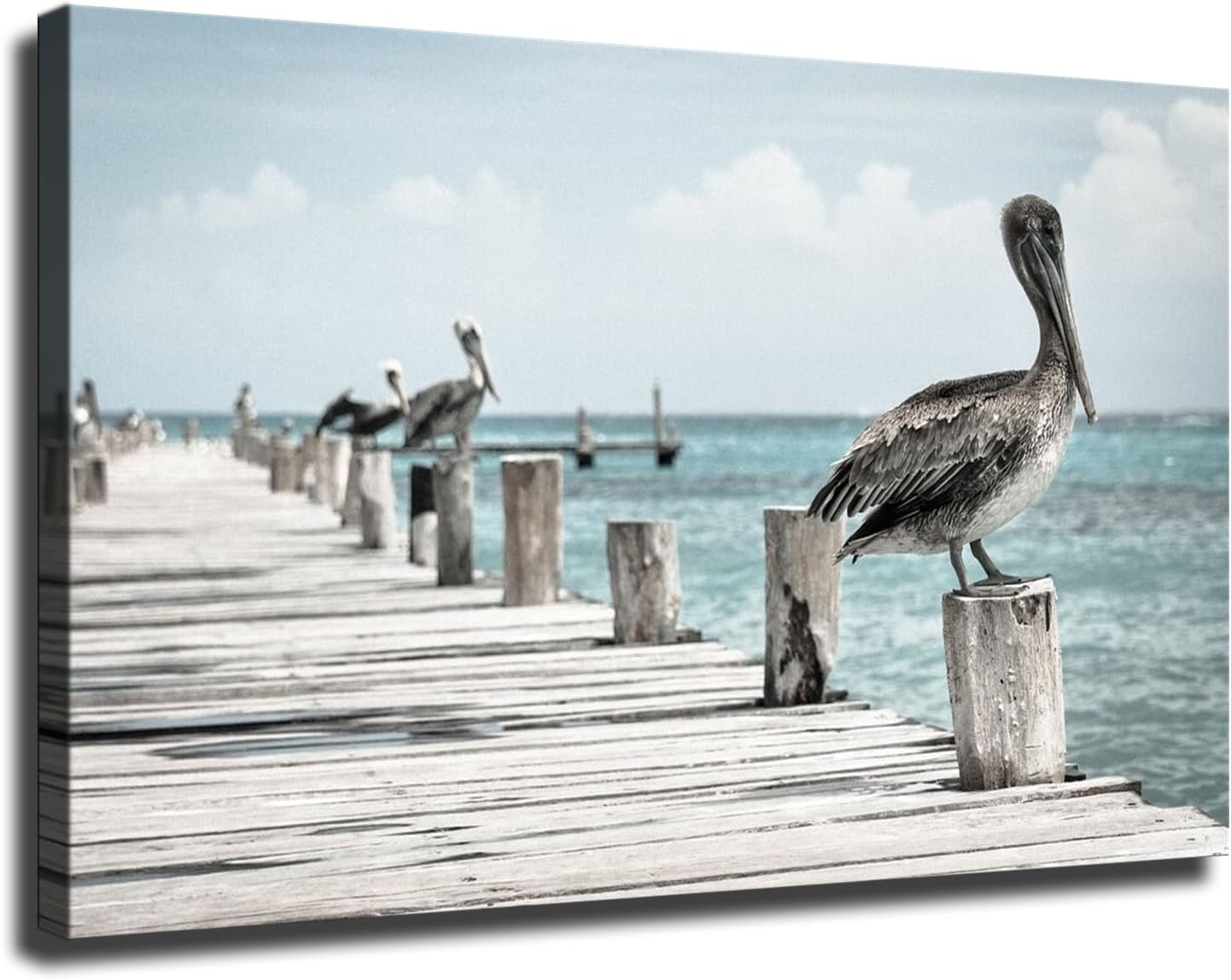 Amazon.com: Pier Pelican Wall Art Animal Picture Canvas Print Sea ...