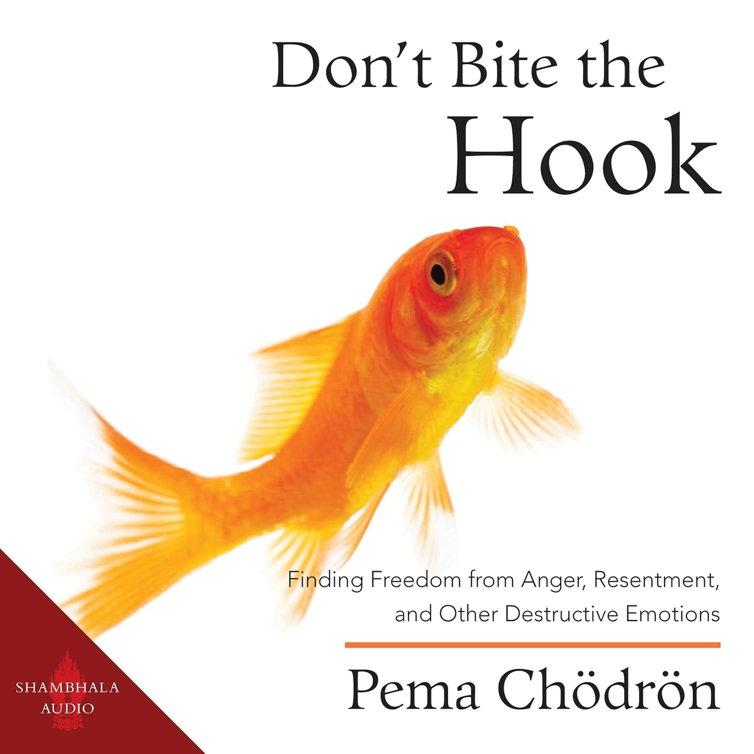 Amazon.com: Don't Bite the Hook: Finding Freedom from Anger, Resentment ...
