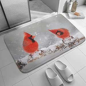 Amazon.com: TsyTma Male Northern Cardinals Bathroom Rugs Mat Snowy ...