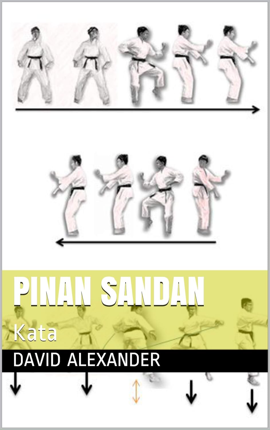 Pinan Sandan: Kata (Shukokai Kata Booklet Series Book 3) eBook ...