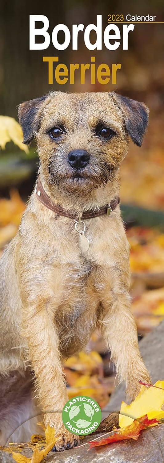 Amazon.com: Border Terrier Slim Calendar 2023 | Dog Breed Slimline ...