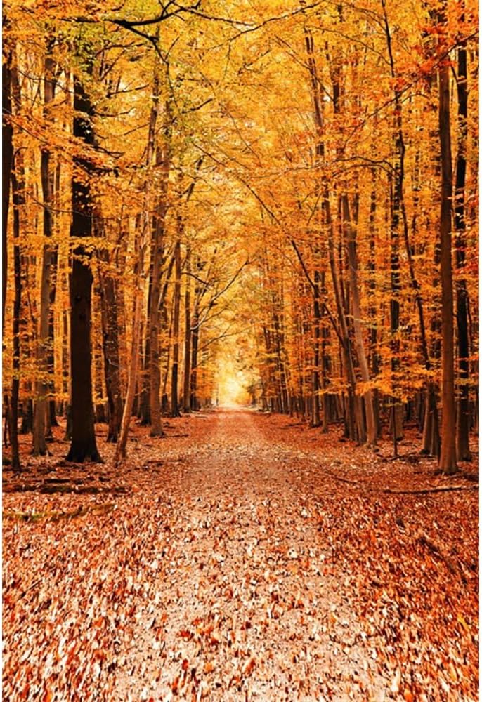 Amazon.com : OFILA Fall Forest Backdrops for Photography 5x7ft Autumn ...