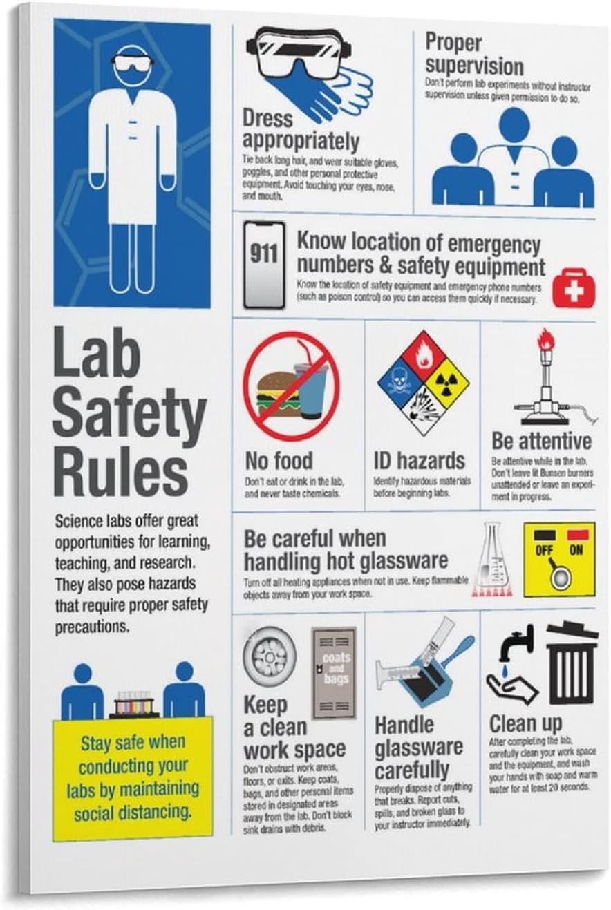 Amazon.com: The Laboratory Poster Lab Science Safety Rules Classroom ...