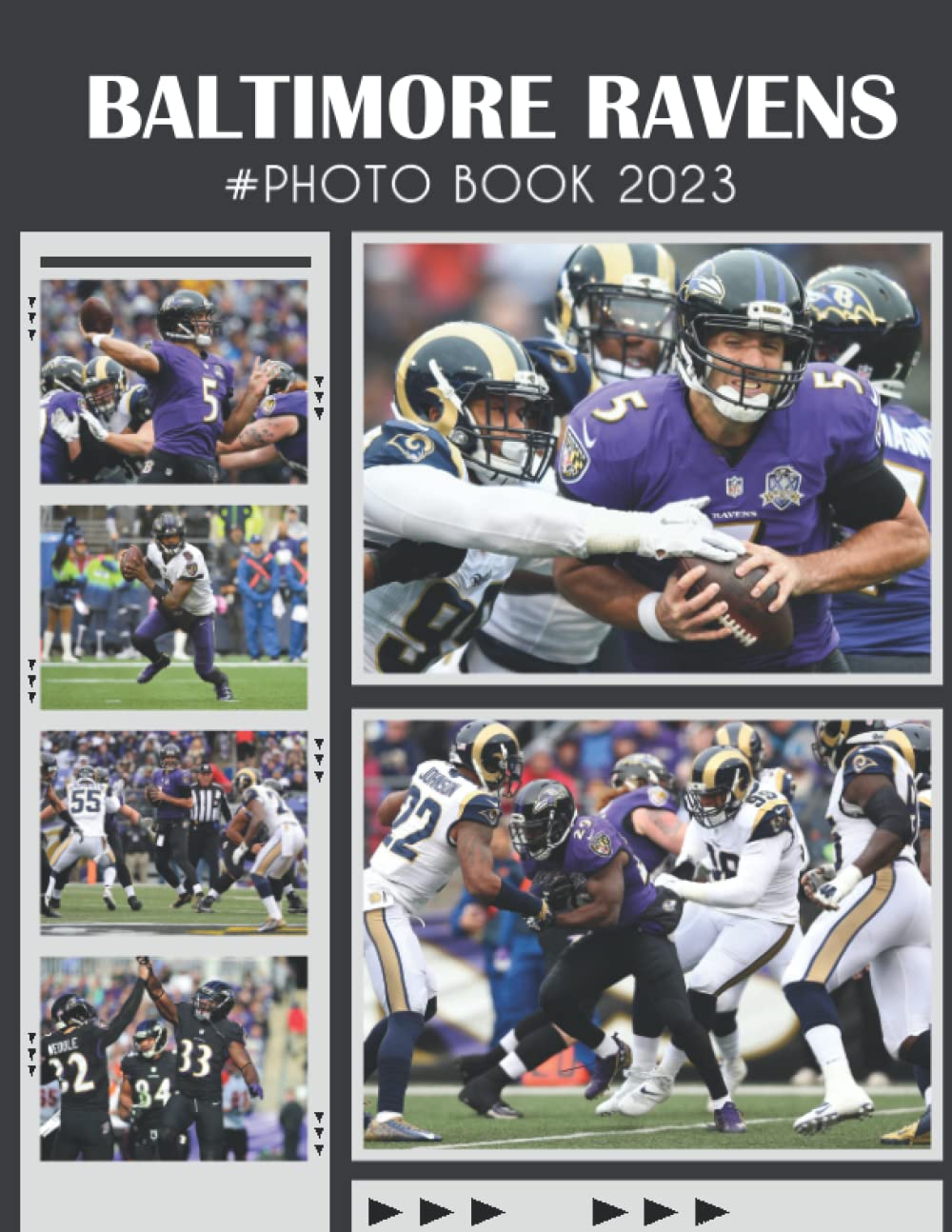 𝘉𝘢𝘭𝘵𝘪𝘮𝘰𝘳𝘦 𝘙𝘢𝘷𝘦𝘯𝘴 Photo Book: Picture Book Of 𝘉𝘢𝘭𝘵𝘪𝘮𝘰𝘳𝘦 𝘙𝘢𝘷𝘦𝘯𝘴 - 30 ...